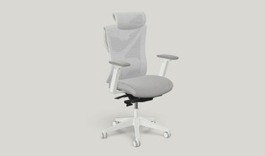 Standing Height-Adjustable Desks | Desktronic
